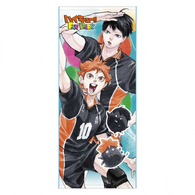 "Haikyuu!! FAN PARK" Set to Take Place in June – Event Details and ...