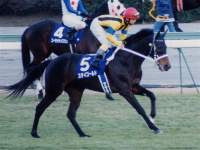 Why Is Gold Ship So Crazy? Exploring the Stego Lineage in Uma Musume ...