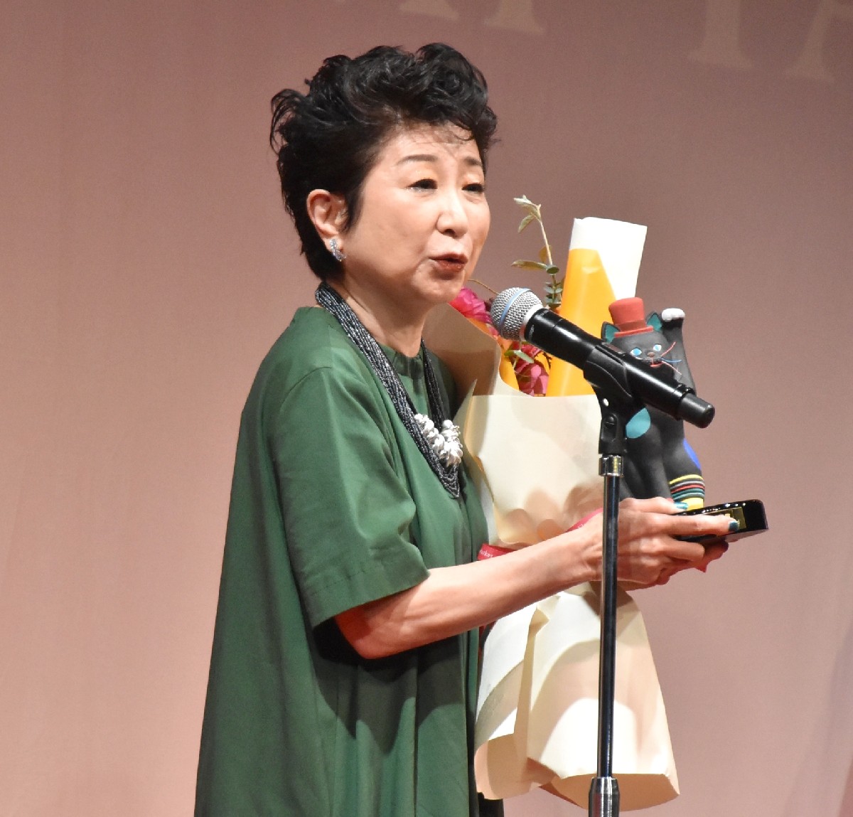 Mayumi Tanaka, Voice of Luffy in One Piece, Honored at Children's Film ...