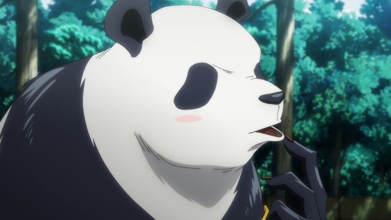 Panda in Jujutsu kaisen (JJK): Complete Profile Guide | Japan Anime ...