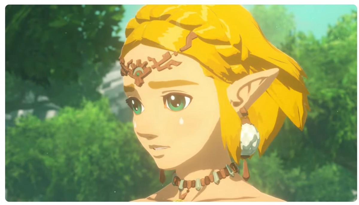 New Zelda Game: Hyrule Warriors: Age of Imprisonment Launches November ...